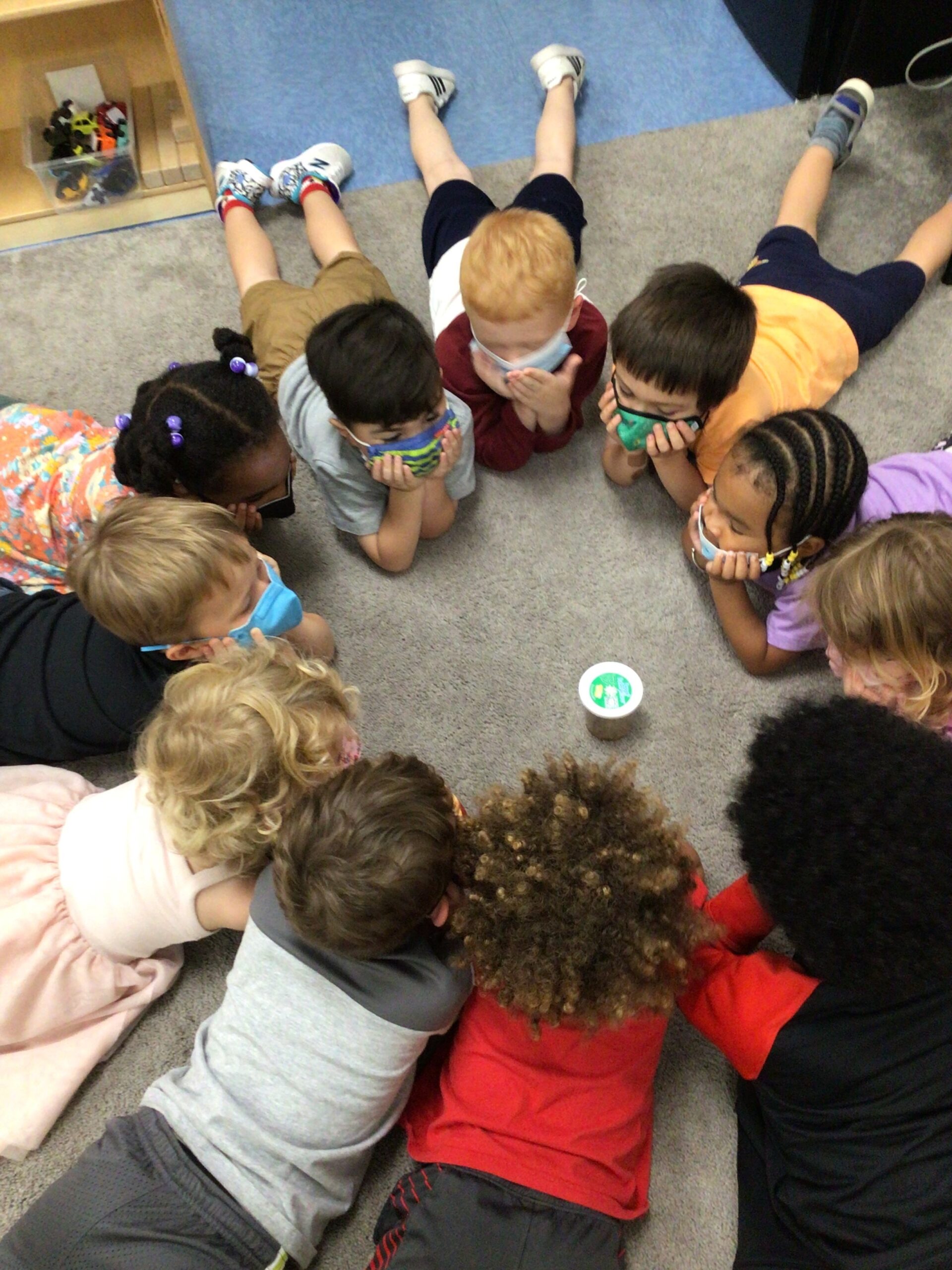 Summer Camp | Monarch Preschool College Park